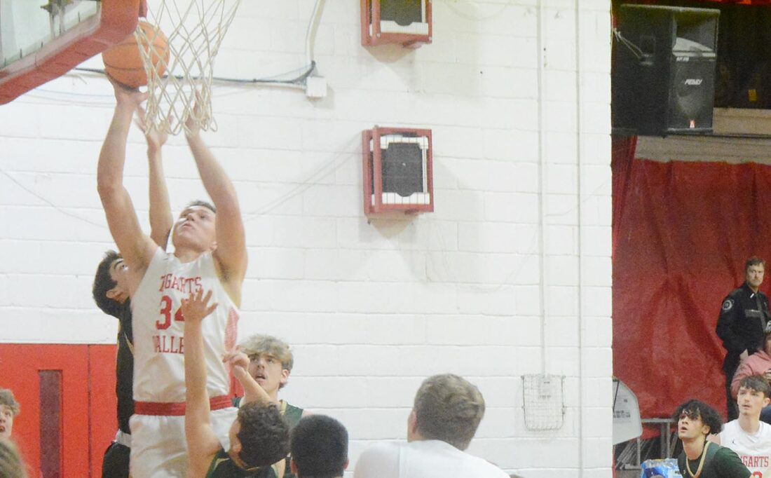 Wamsley tosses in 26 points as Bulldogs beat Irish in sectionals | News ...